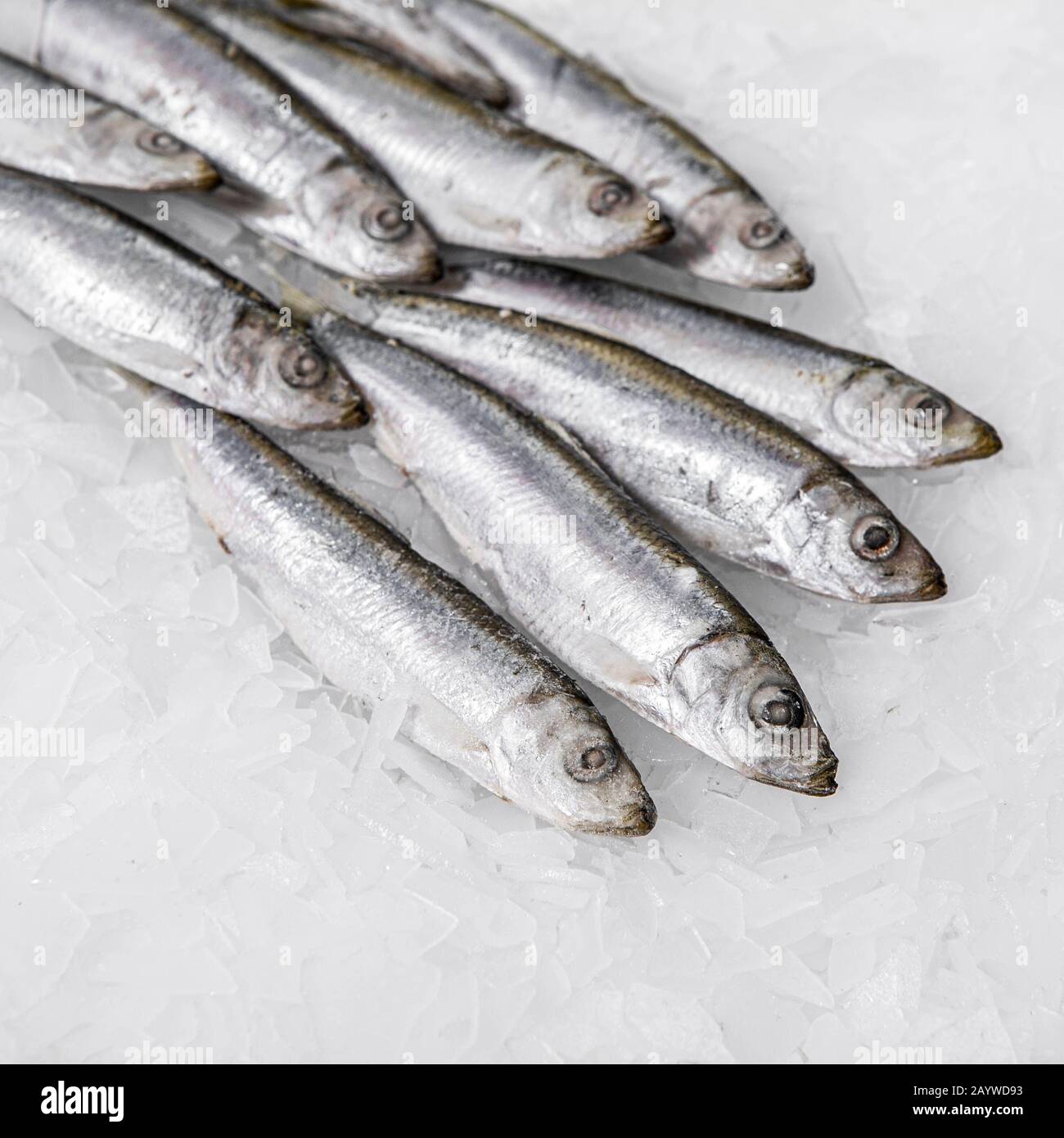Close-up of fresh sprat on the ice. Fish market. Organic fish ...