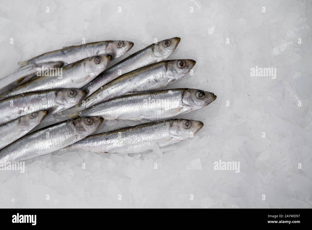 Close-up of fresh sea sprat on the ice. Fish market. Organic fish ...