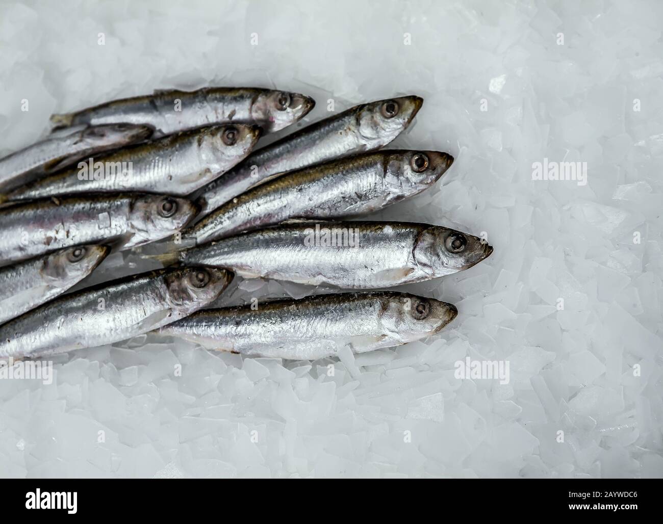 Close-up of fresh sea sprat on the ice. Fish market. Organic fish ...