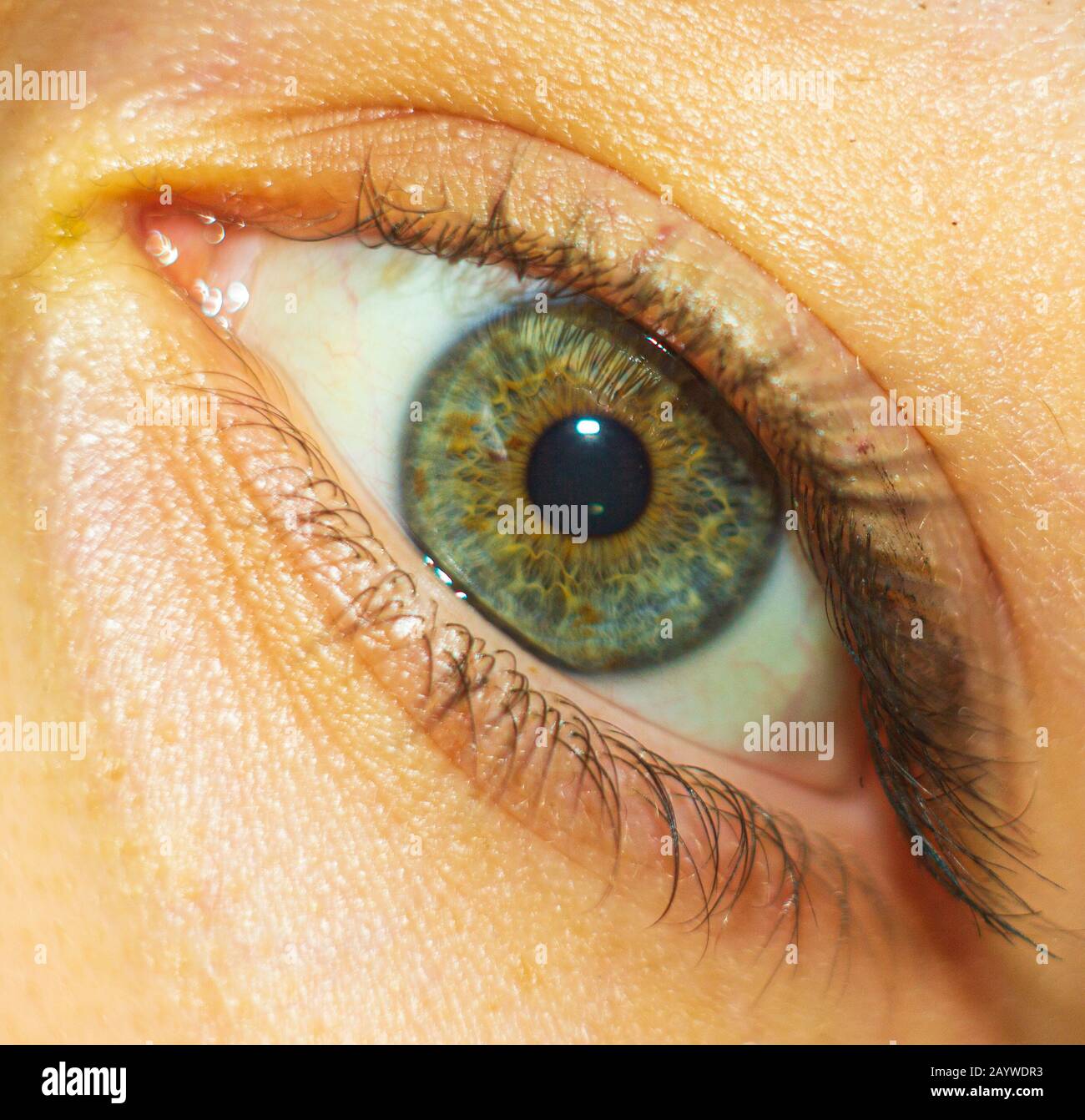 4k slow motion hi-res stock photography and images - Alamy