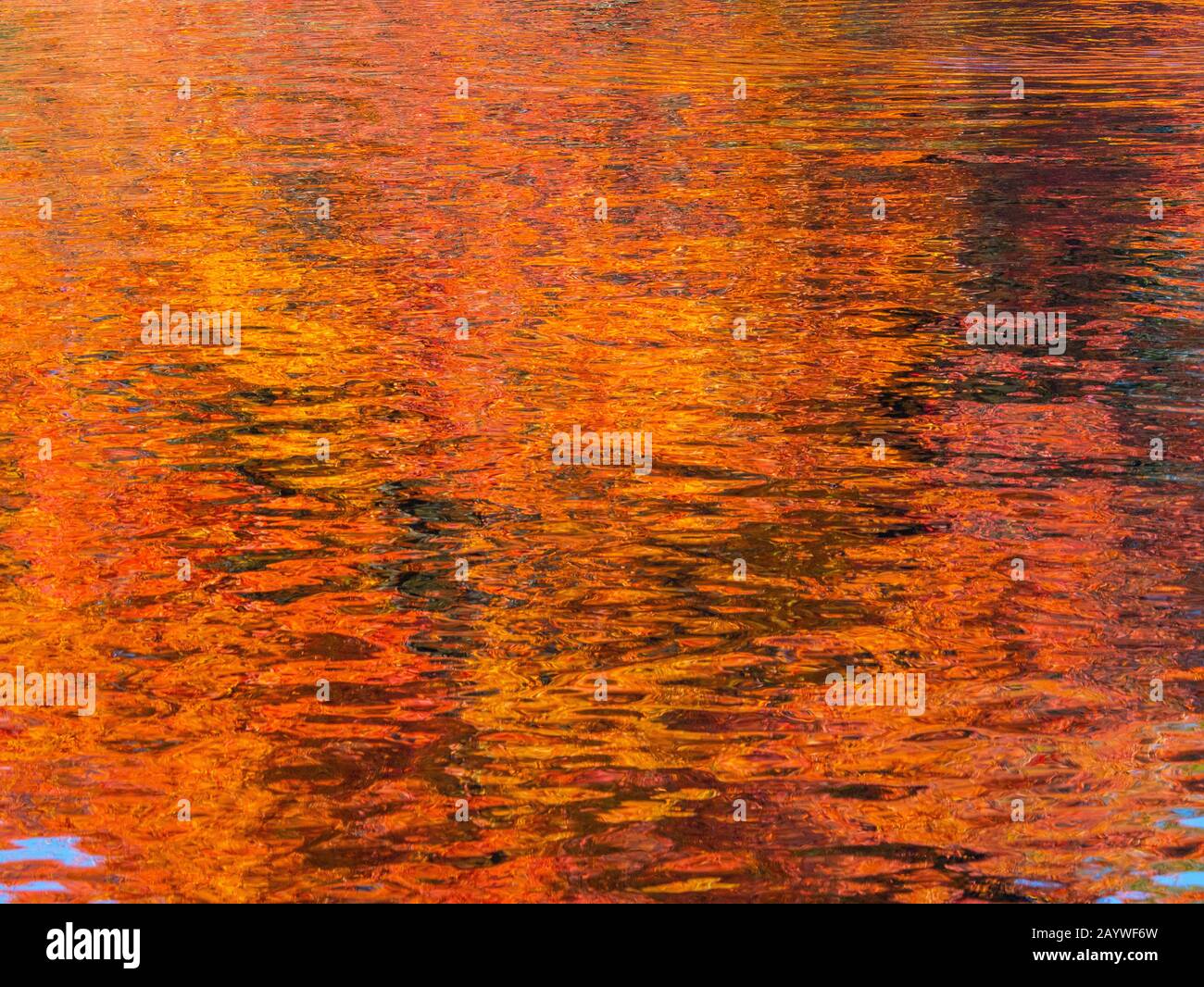 Orange reflection on water Stock Photo - Alamy
