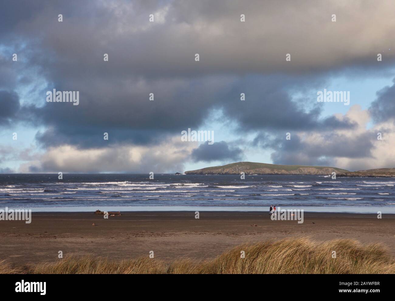 Poppit hi-res stock photography and images - Alamy