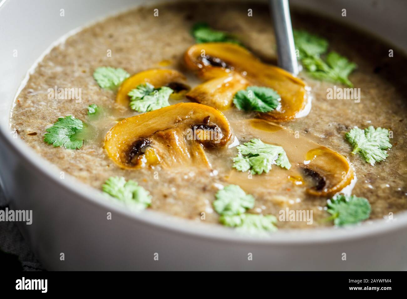 Mushroom soup puree with cilantro. Vegetarian food concept Stock Photo ...