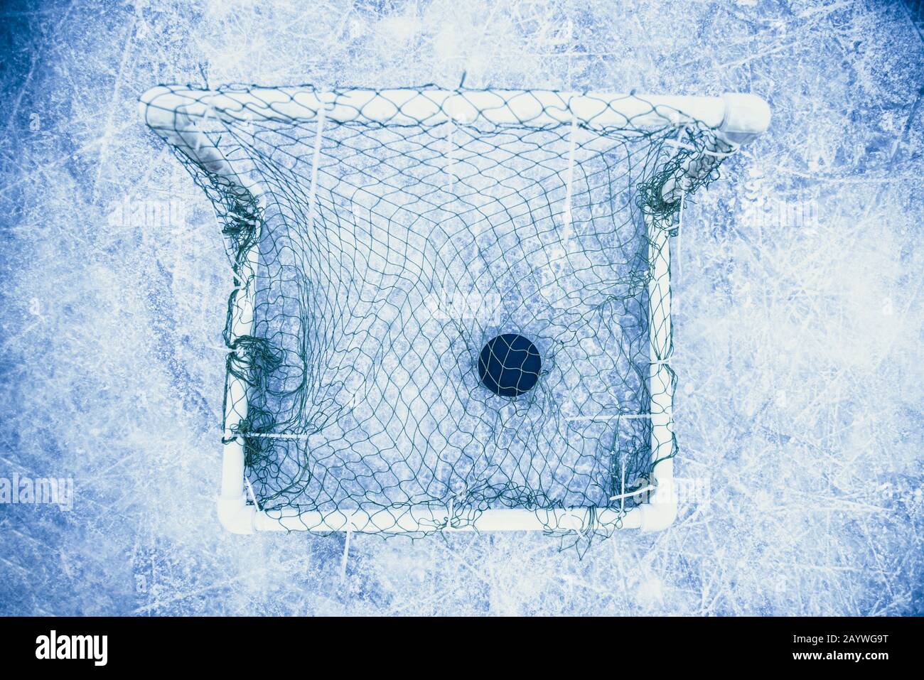 Hockey puck in goal at the stadium Stock Photo - Alamy
