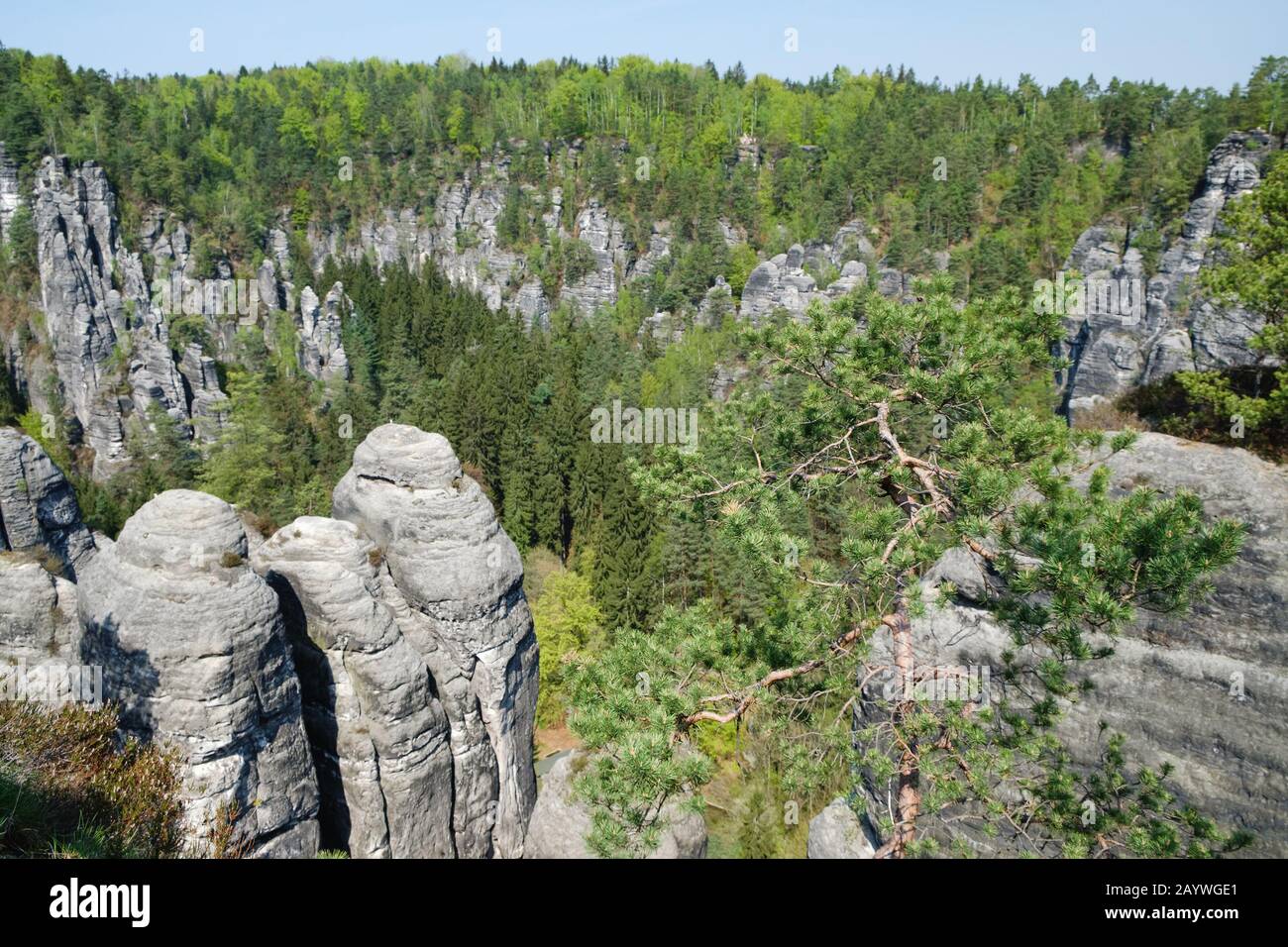 Rock formations Bastei in Saxon Switzerland National Park, Germany ...