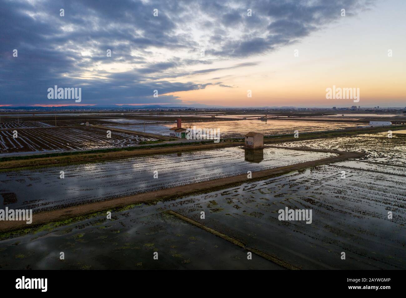 Aerial view of rice fields, flocks of birds and agricultural machinery ...