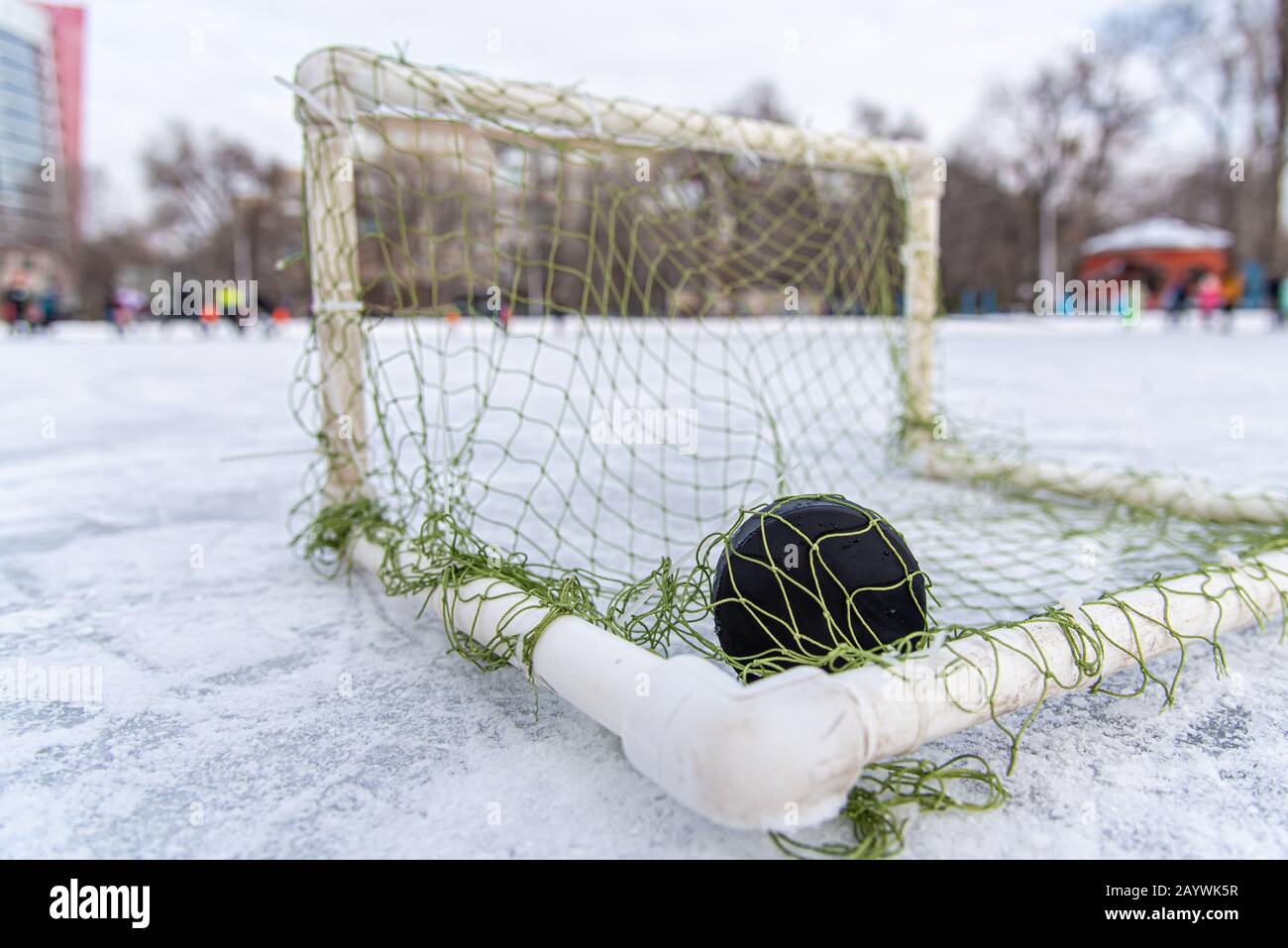 Hockey puck in goal at the stadium Stock Photo - Alamy