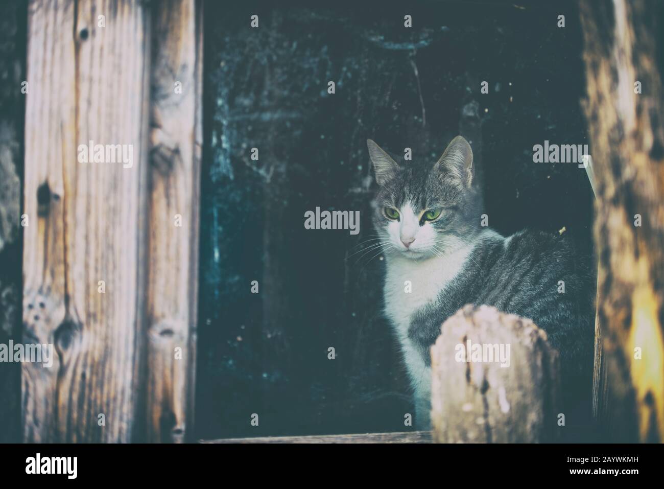 Bengali house hi-res stock photography and images - Alamy