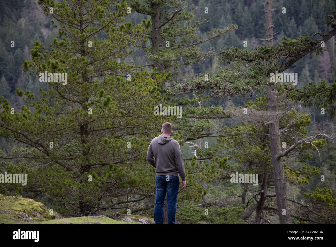 Collaboration with Mother Nature Stock Photo - Alamy