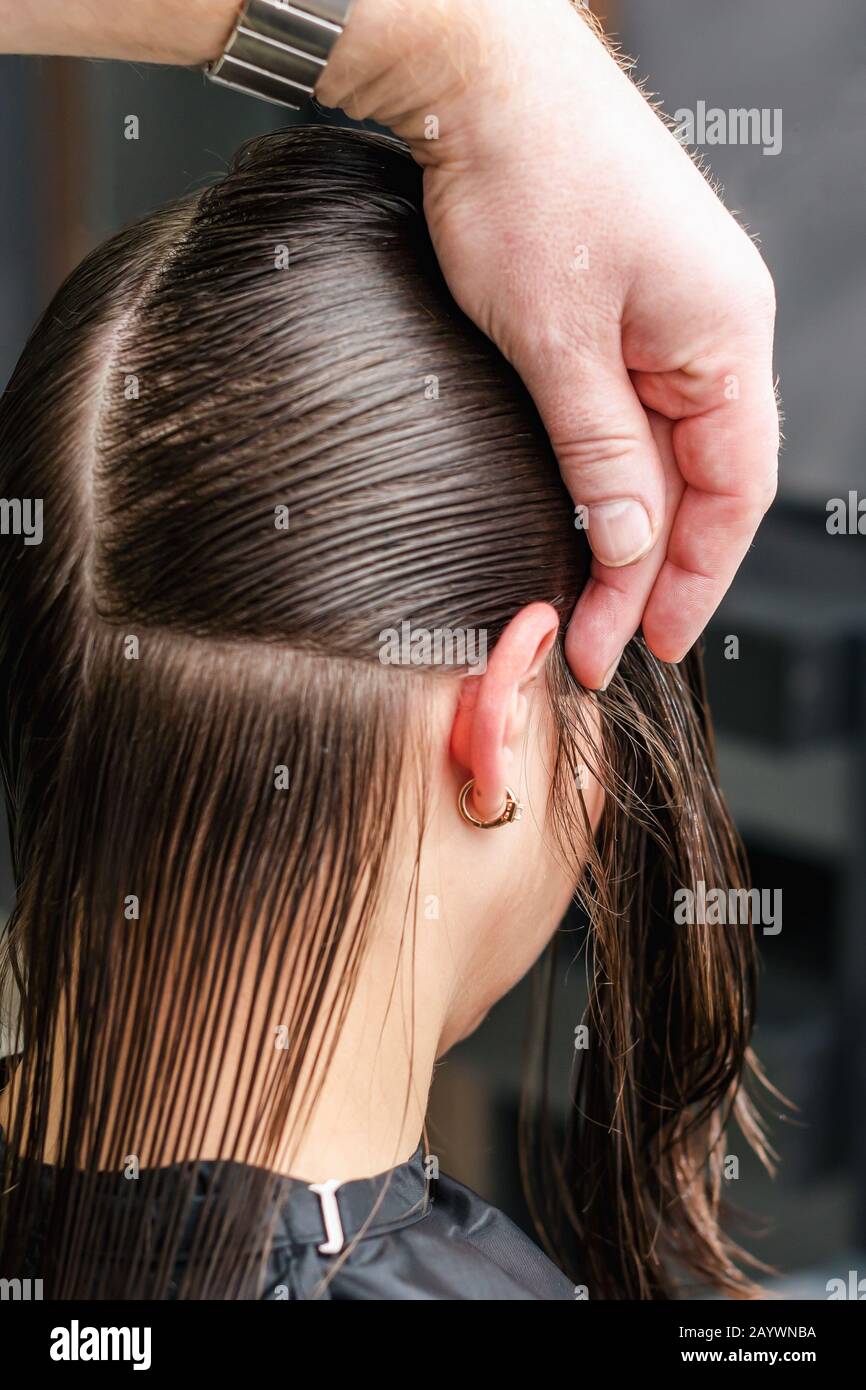 Hairdresser makes hairstyle for woman, back view, close up Stock Photo ...