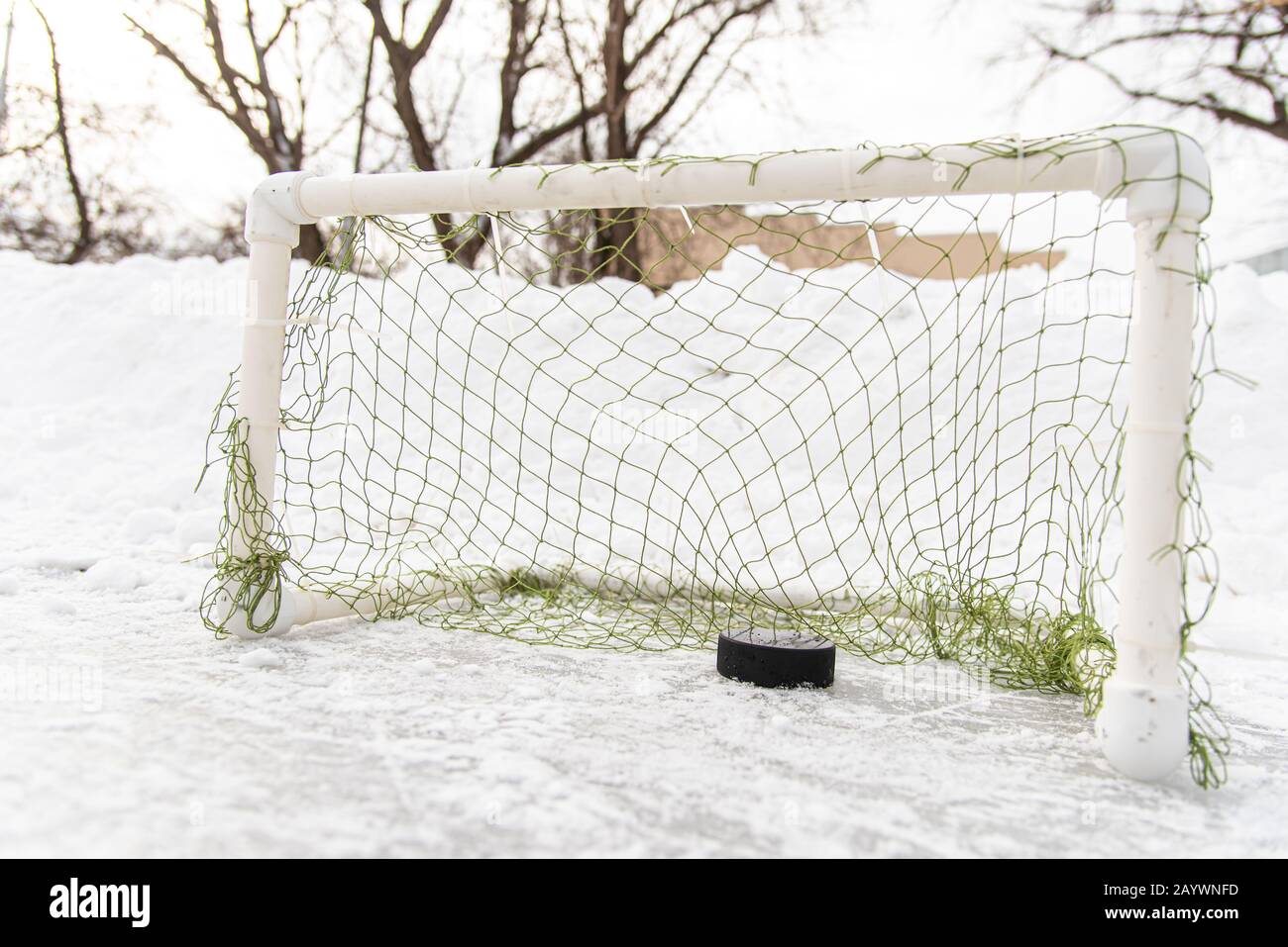 Puck in goal hi-res stock photography and images - Alamy
