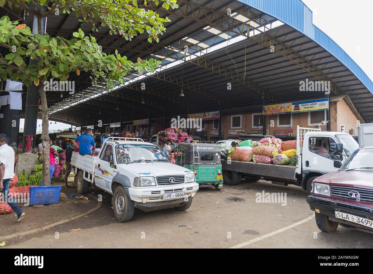 Dambulla, Sri Lanka: 18/03/2019: Largest fruit and vegetable market in ...