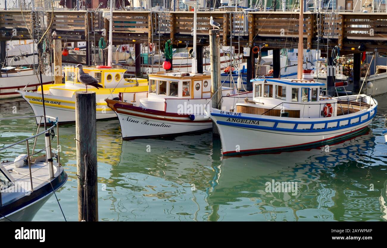 Tourism industry wharf hi-res stock photography and images - Alamy