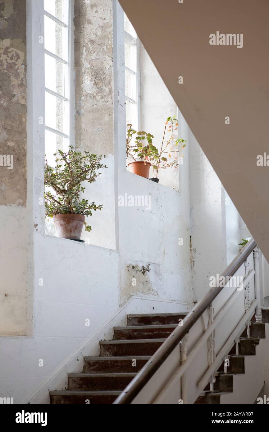 Staircase and windows hi-res stock photography and images - Alamy