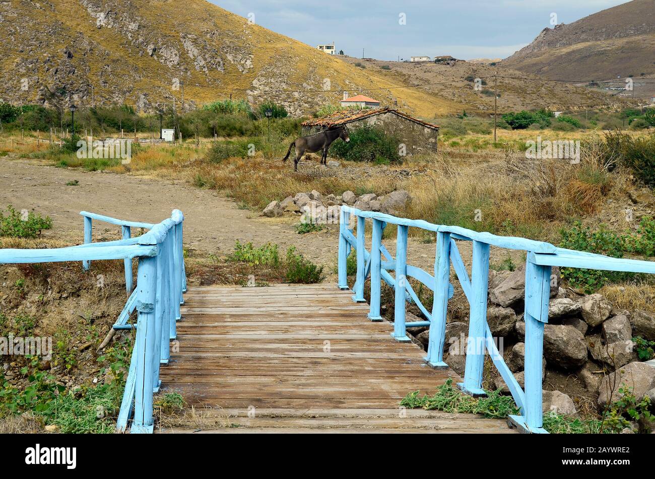 Donkey bridge hi-res stock photography and images - Alamy
