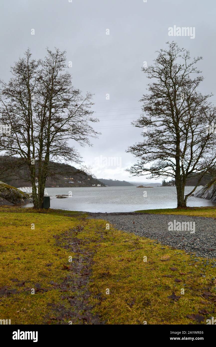 this i a photo of two trees and the sea behind Stock Photo - Alamy