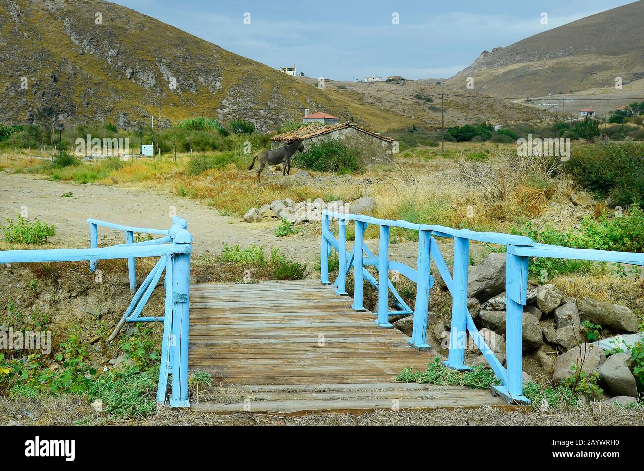 Greece, Lemnos island, donkey and blue bridge Stock Photo - Alamy