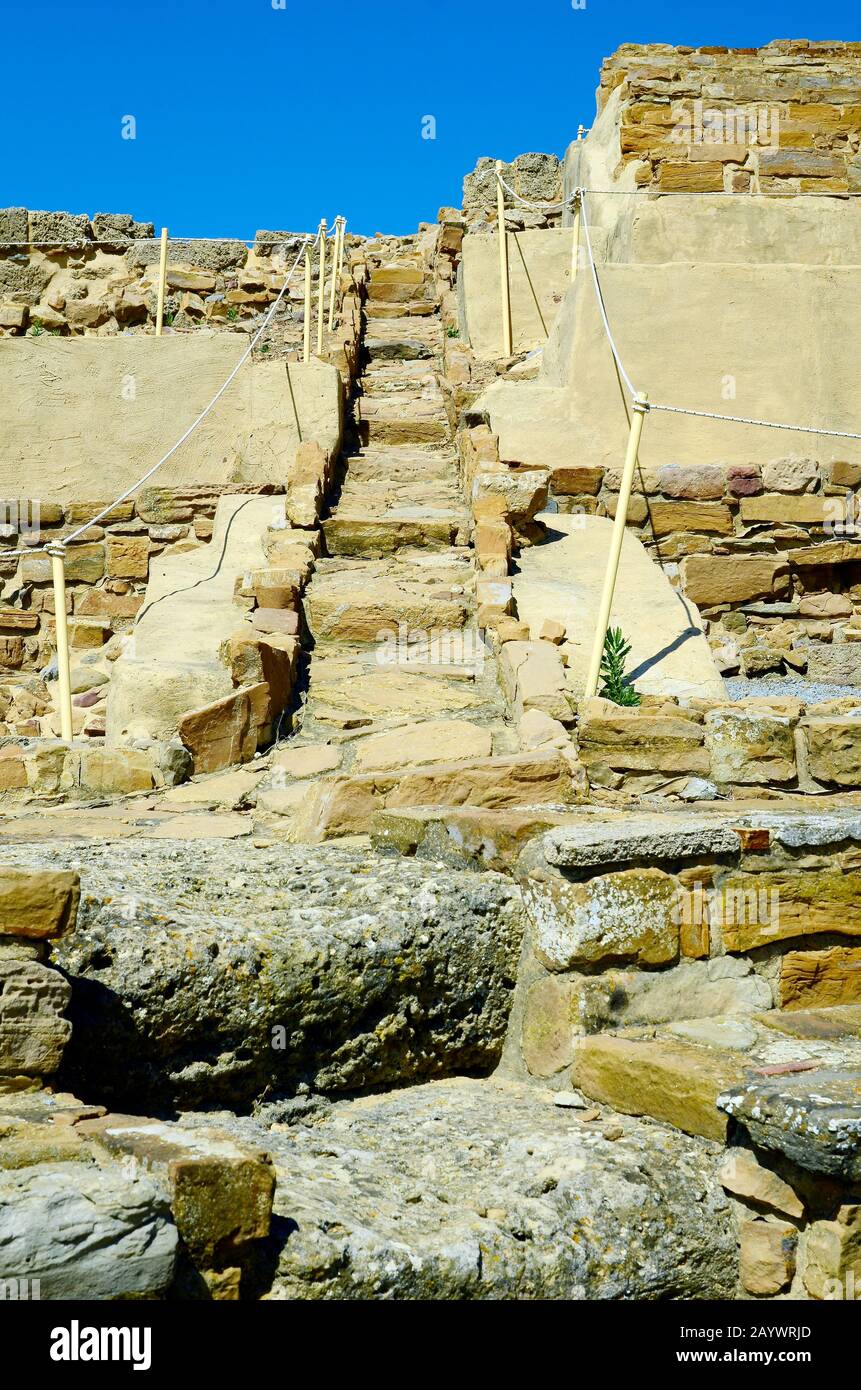 Hephaistia hi-res stock photography and images - Alamy