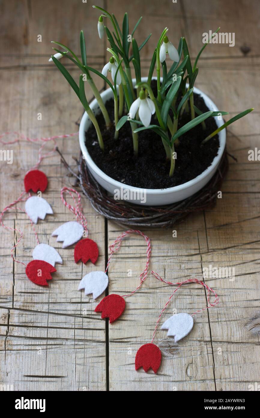 Grandmamarch hi-res stock photography and images - Alamy