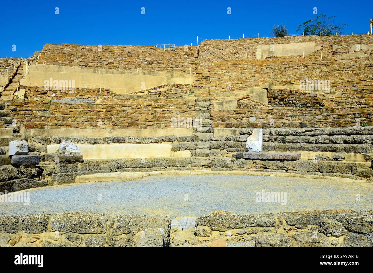 Hephaistia hi-res stock photography and images - Alamy