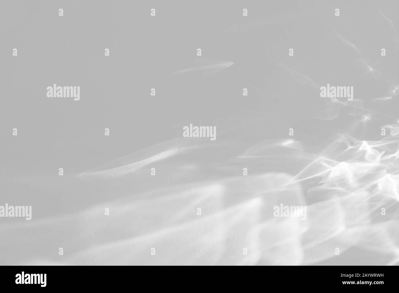 Organic drop shadow on a white wall Stock Photo - Alamy