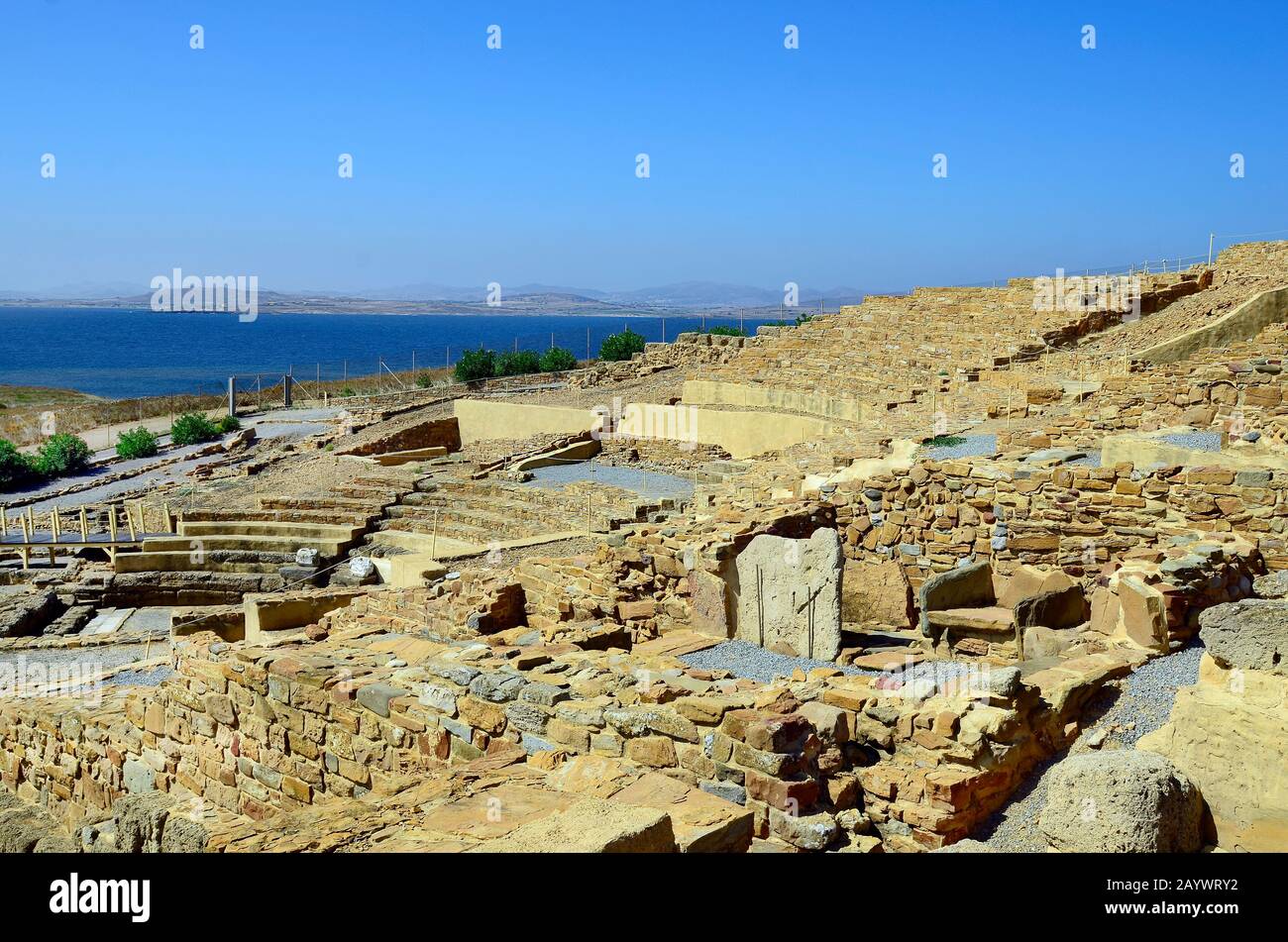 Hephaistia hi-res stock photography and images - Alamy