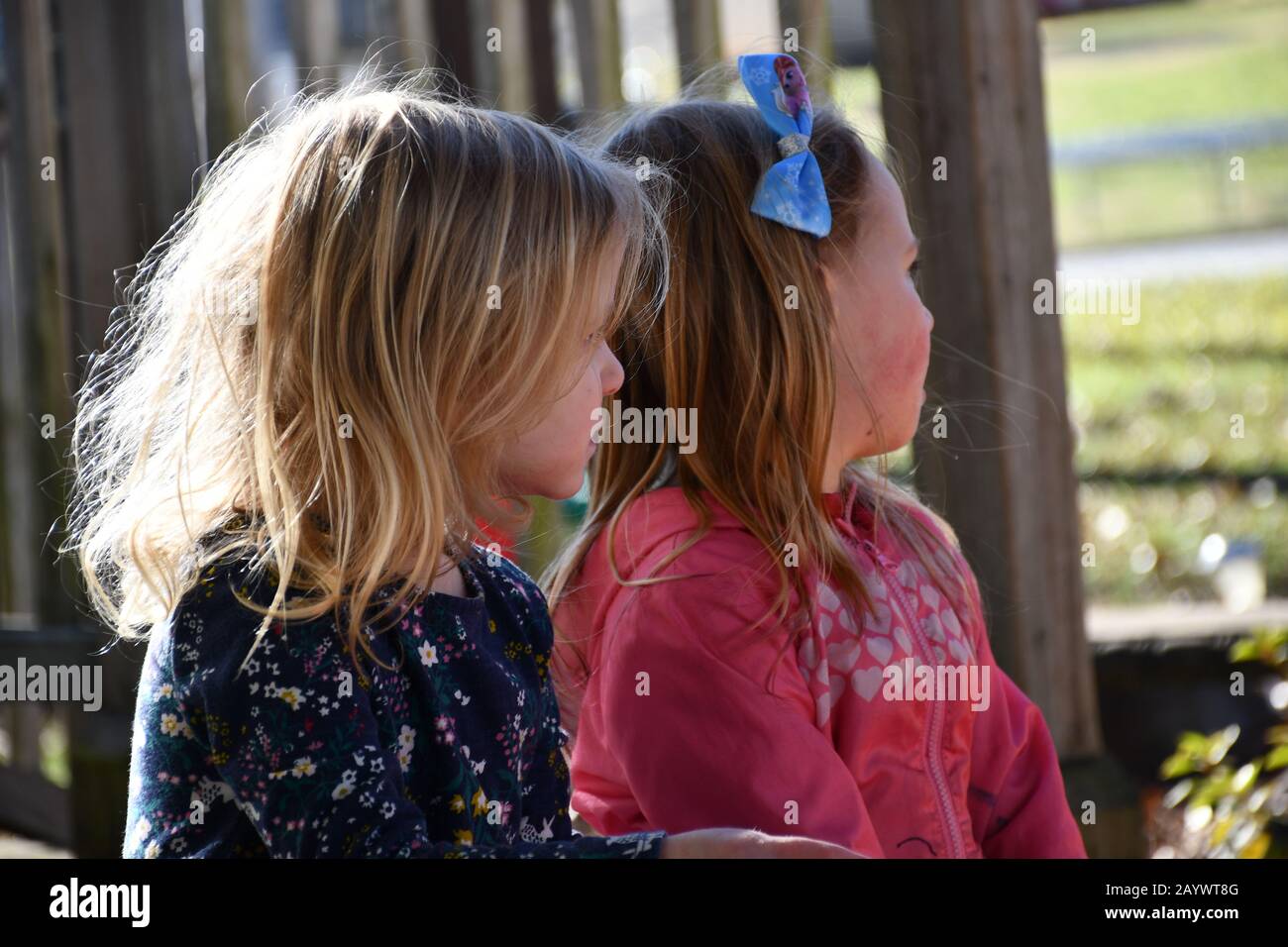 The Toddler Stare Stock Photo - Alamy