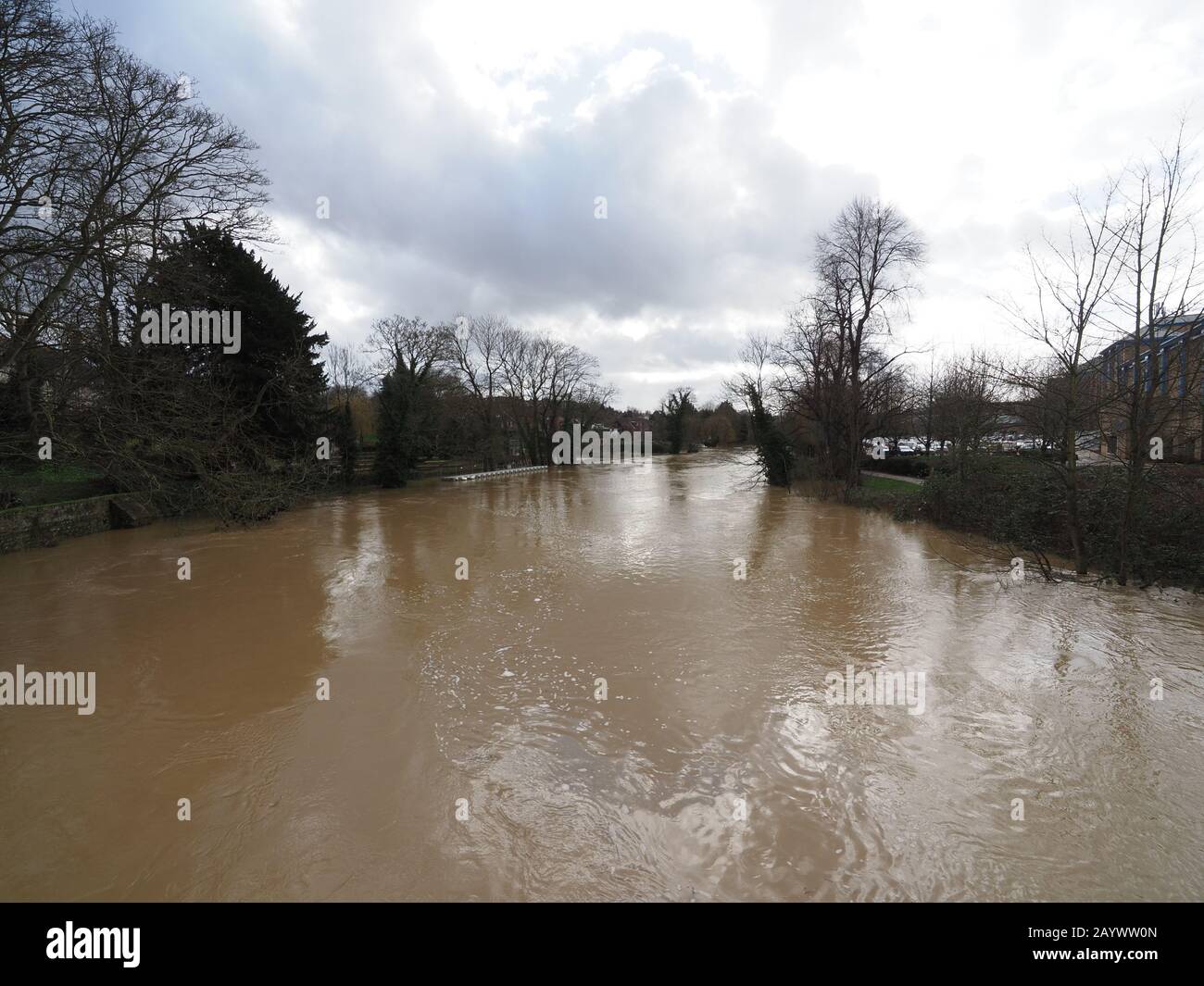 Maidstone, Kent, UK. 17th Feb, 2020. UK Weather: a high river level ...