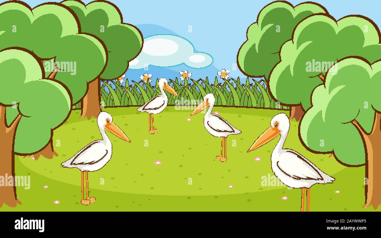 Scene with many pelican birds in the park illustration Stock Vector ...