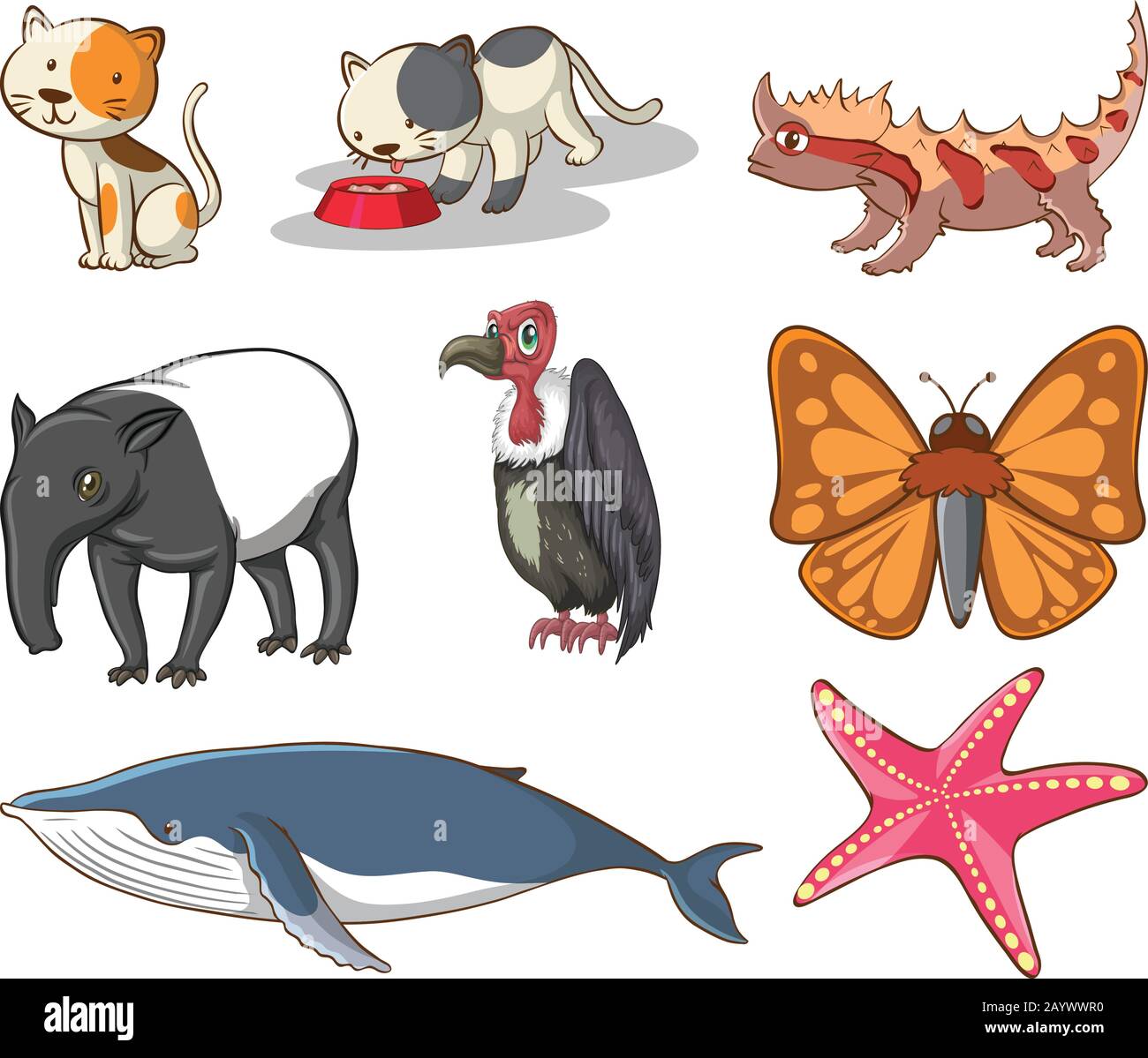 Large set of wildlife with many types of animals illustration Stock ...