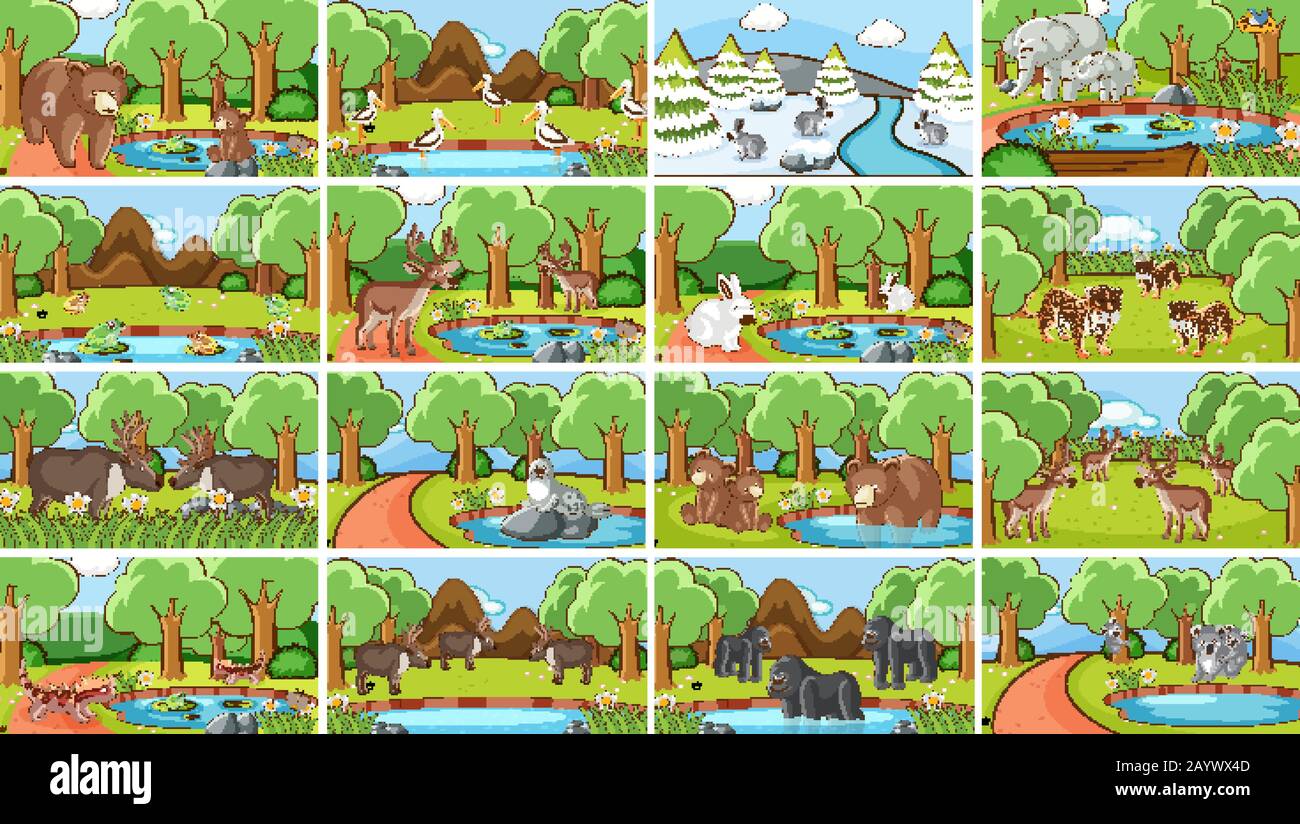 Pond deer frog hi-res stock photography and images - Alamy