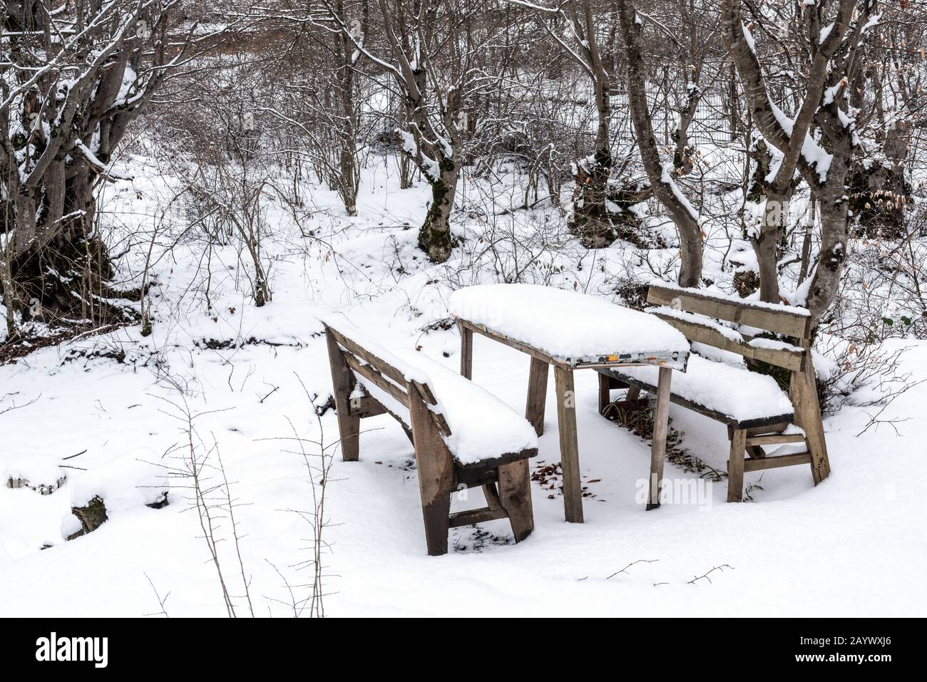 Garden table with frost hi-res stock photography and images - Alamy