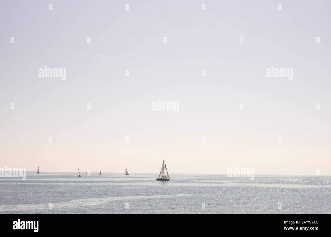 sailboat sailing in the sea in a clear day Stock Photo - Alamy