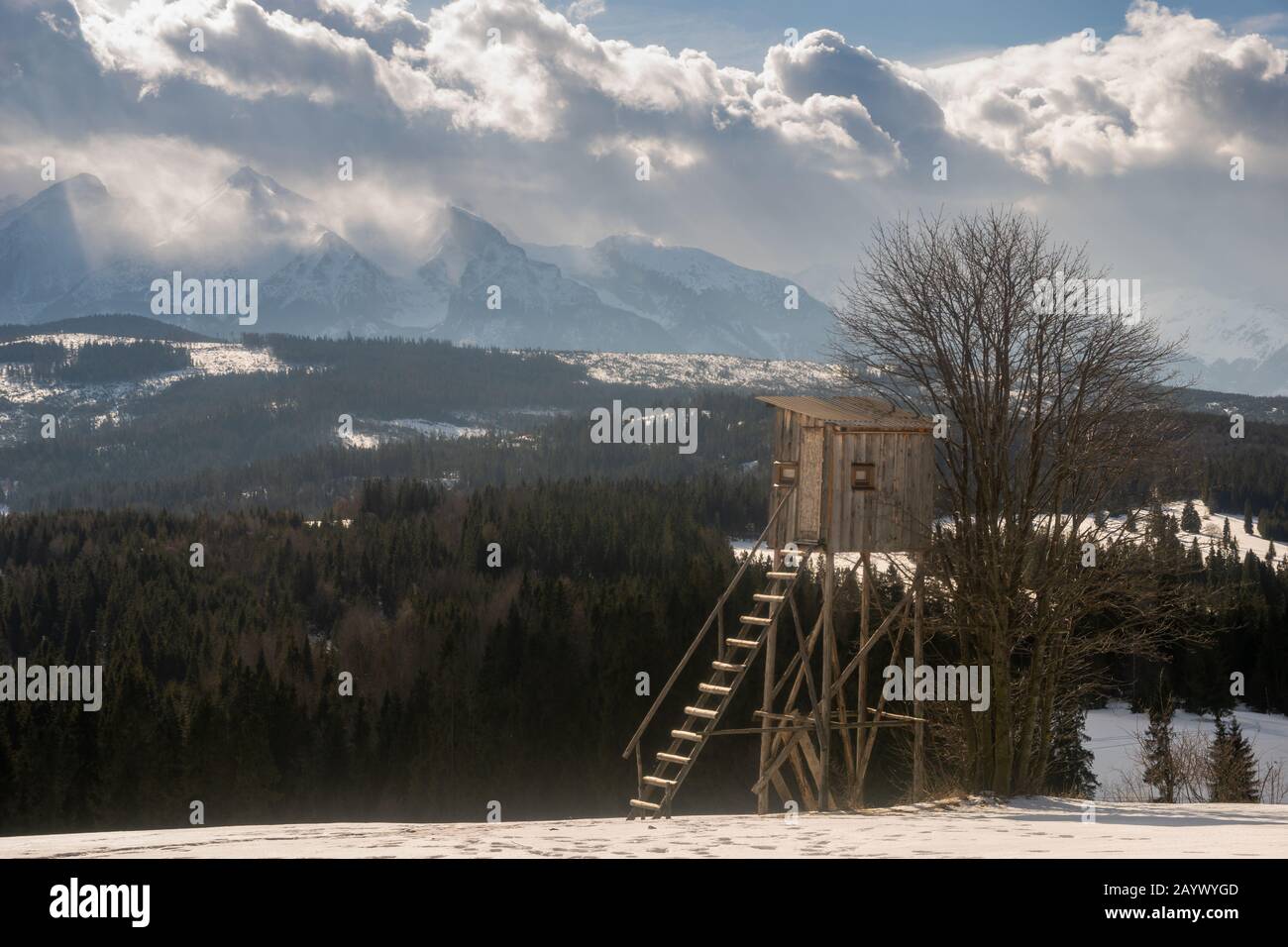 Hunting tower on snowy field in winter mountains Stock Photo - Alamy