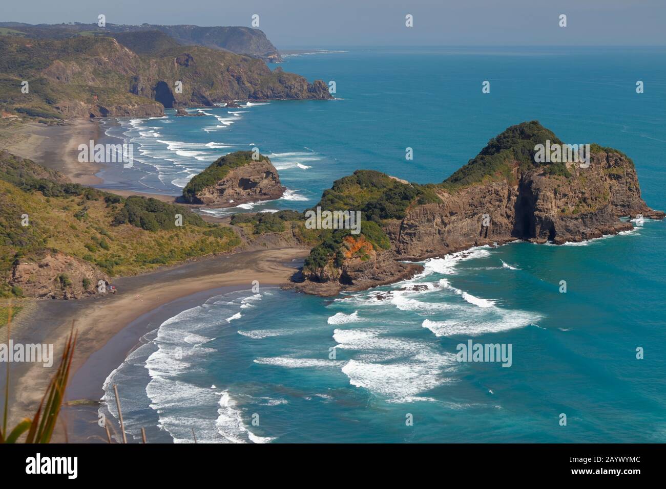 Te henga walkway hi-res stock photography and images - Alamy