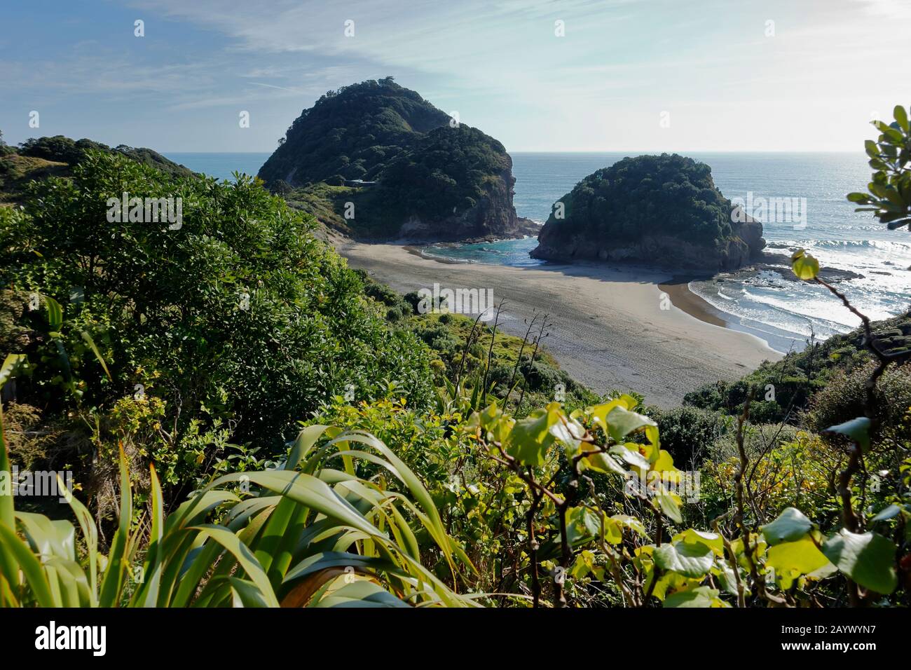 Stunning scenic view of Auckland's wild West Coast from the Te Henga ...