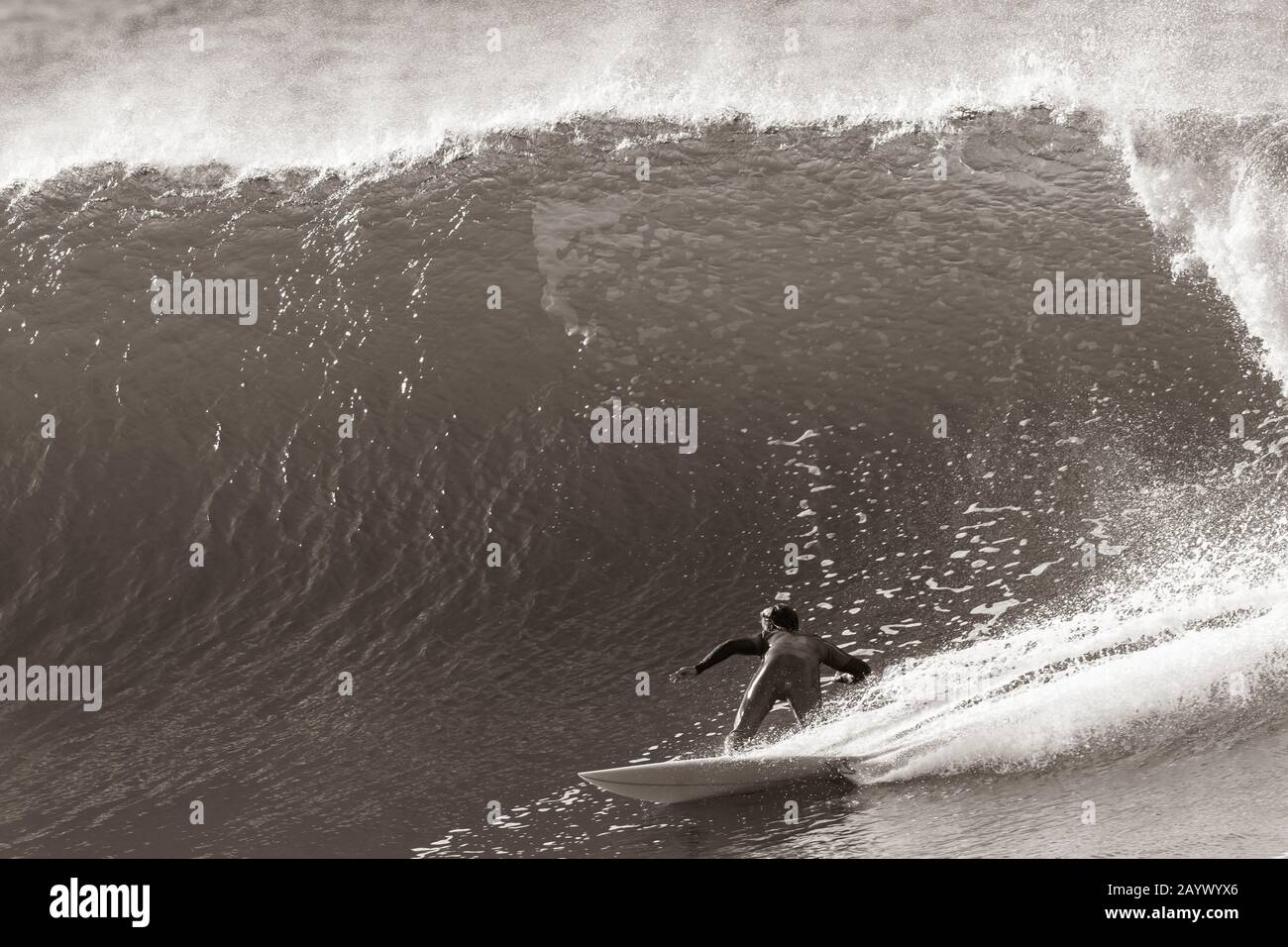 Surfing surfer unrecognizable bottom turning rear behing action on ...