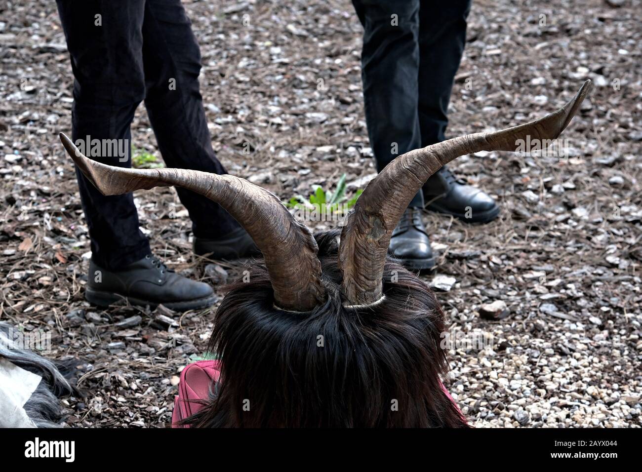 before the carnival parade close view of the helmet with goat horns of ...