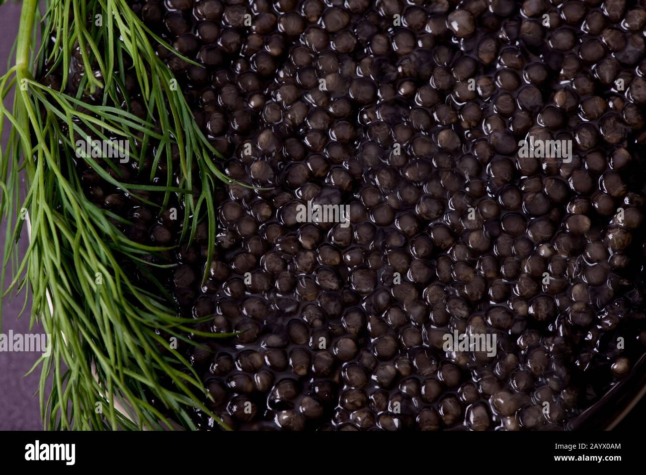 STURGEON'S EGG CAVIAR Stock Photo - Alamy