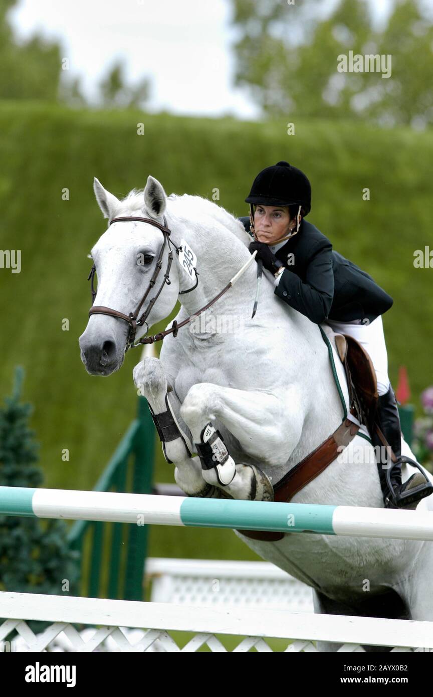 Cassandra horse hi-res stock photography and images - Alamy