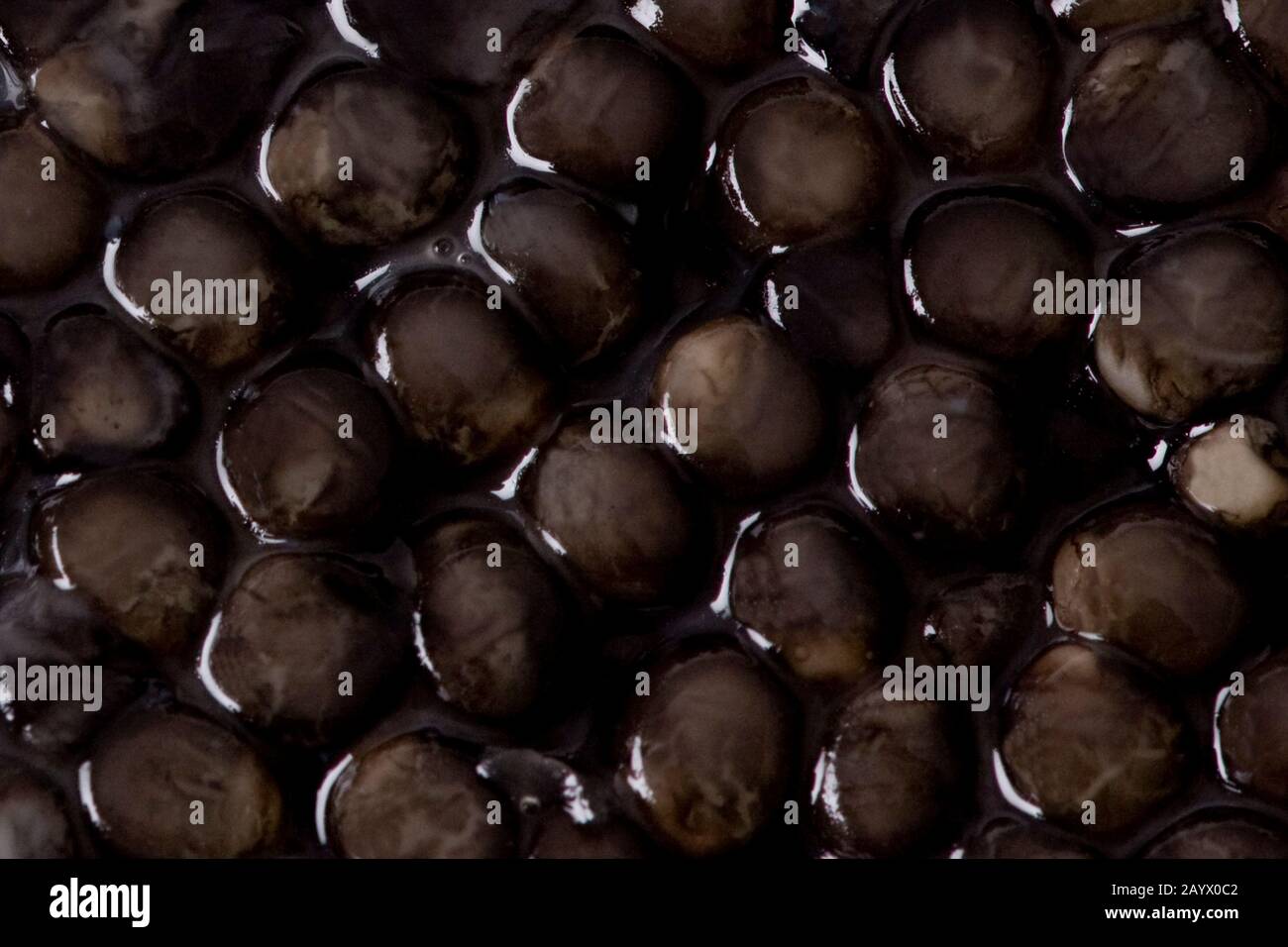 STURGEON'S EGG CAVIAR Stock Photo - Alamy