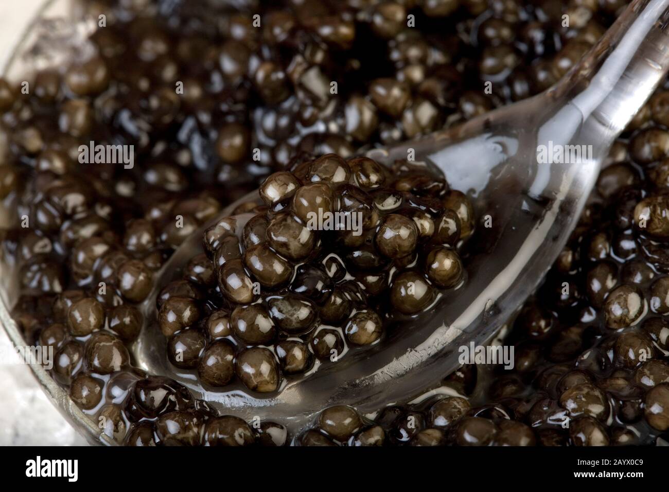 STURGEON'S EGG CAVIAR Stock Photo - Alamy