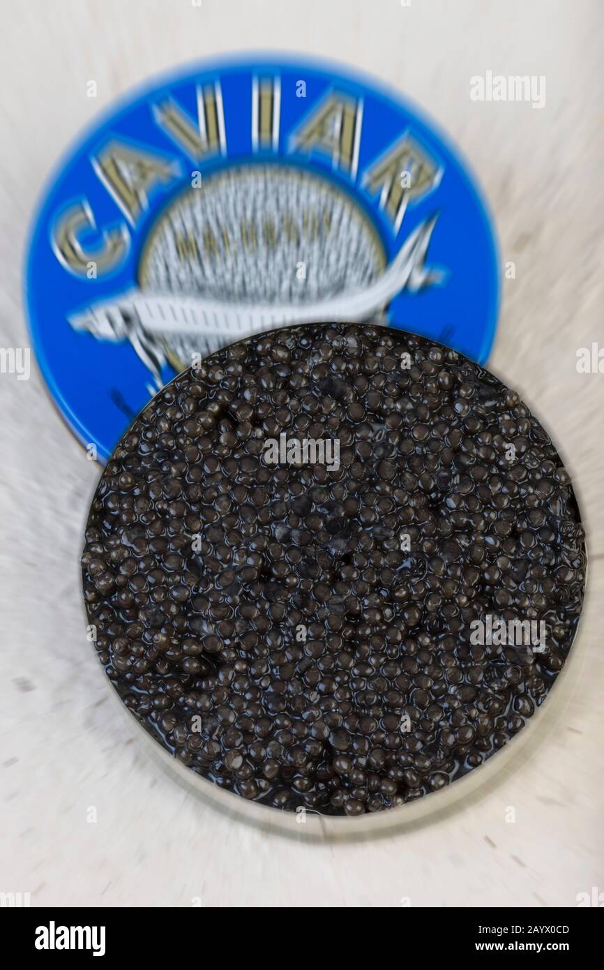 STURGEON'S EGG CAVIAR Stock Photo - Alamy