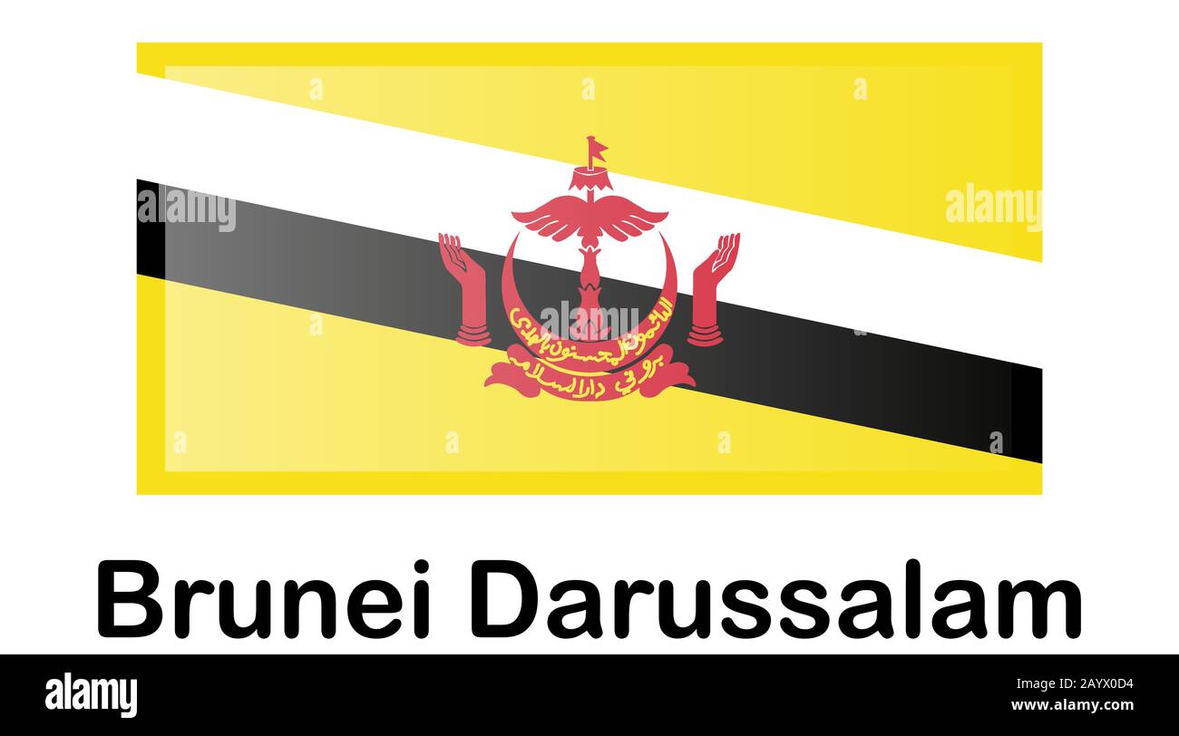 Brunei Darussalam Flag Button. icon flag of Brunei Darussalam on white ...