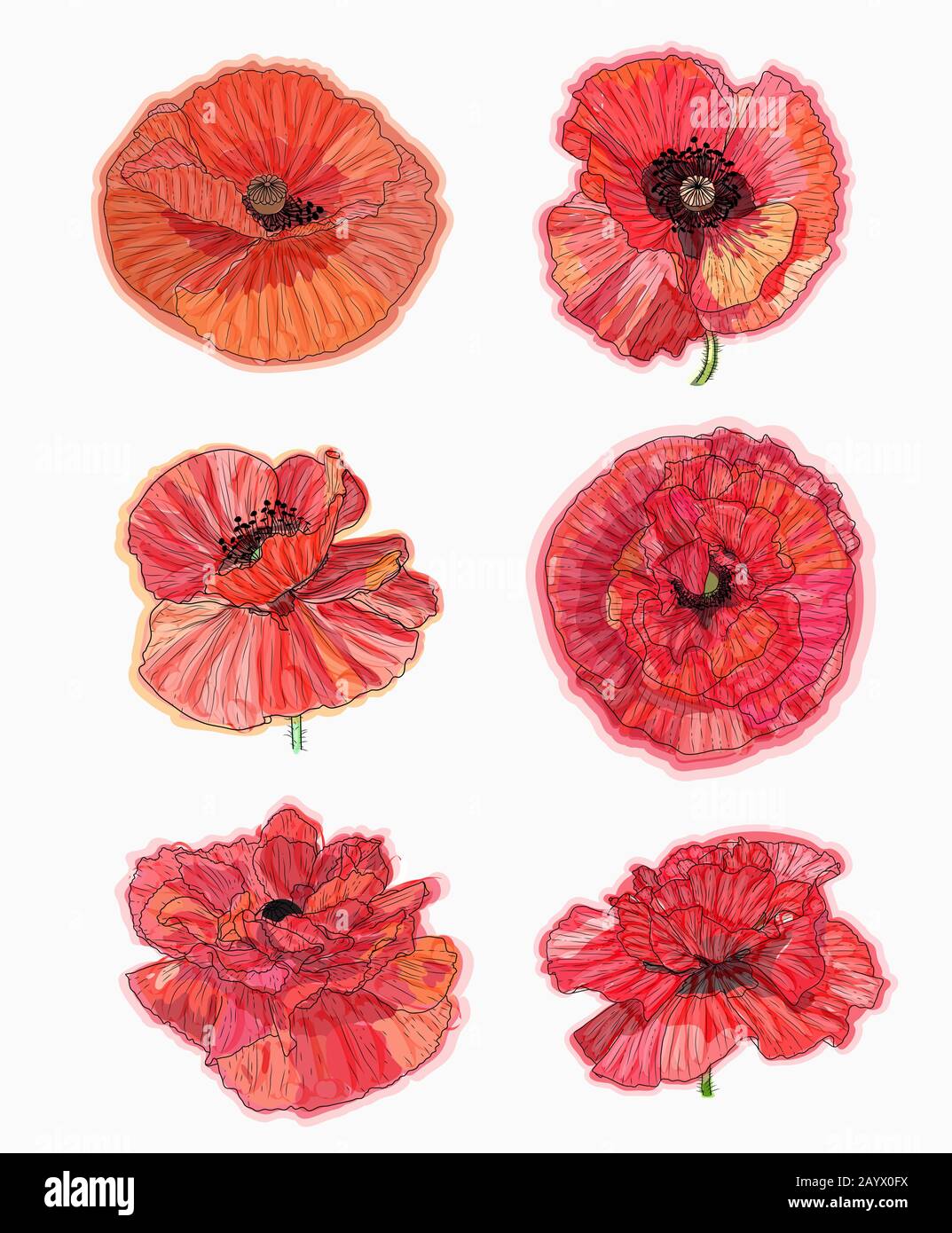 Pen and ink with watercolor wash Stock Vector Images - Alamy