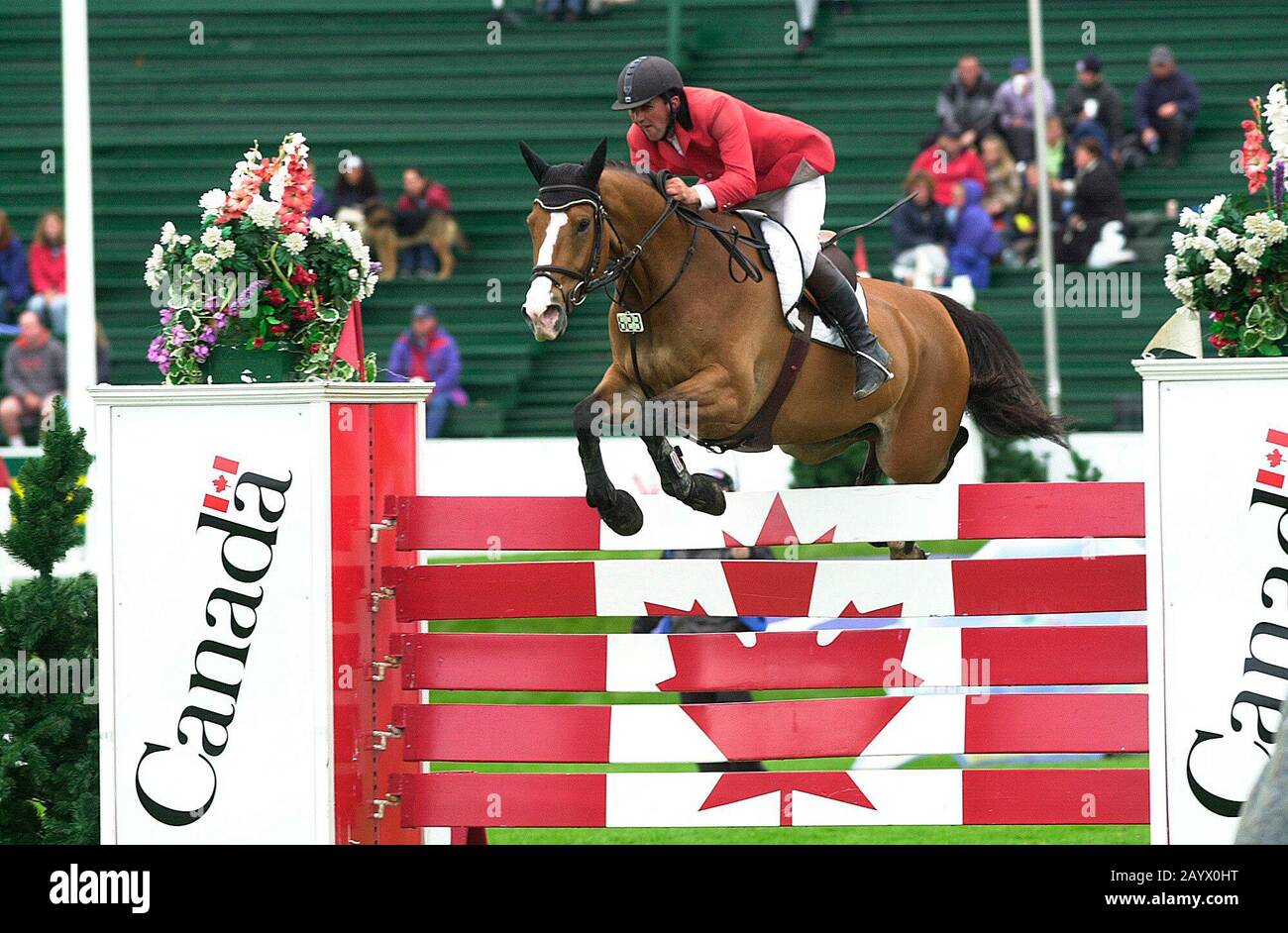 Elizabeth davies hi-res stock photography and images - Alamy