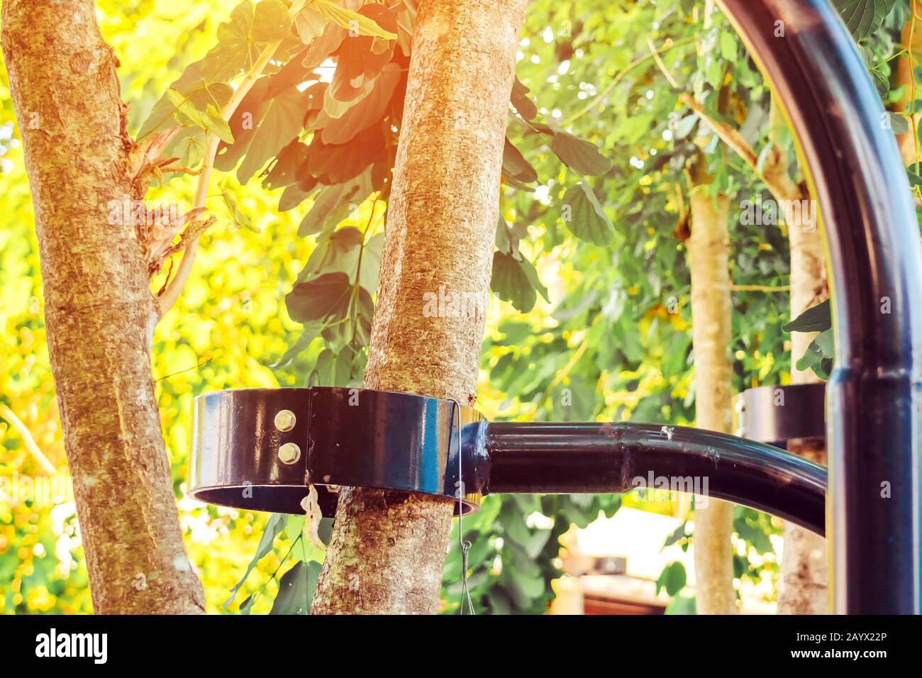 Black steel column supports and controls the branches and trunks of the ...