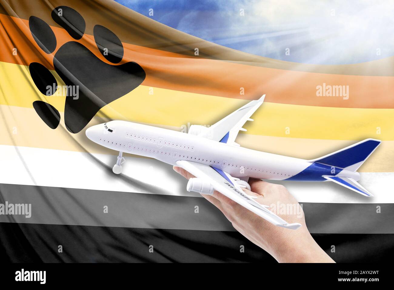Airplane in hand with national flag of Bear Brotherhood on a background ...
