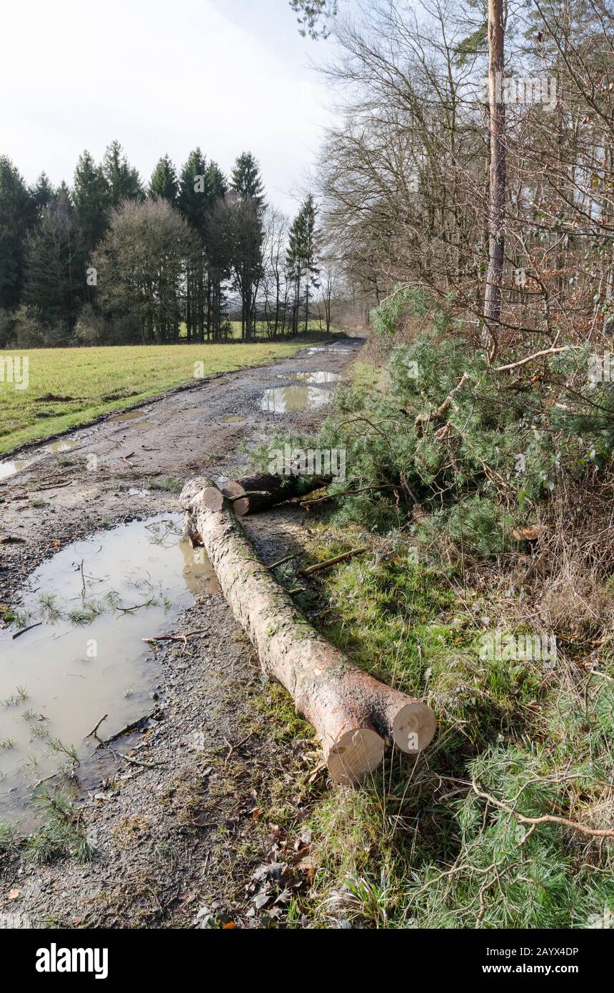 Countryside devastation hi-res stock photography and images - Alamy
