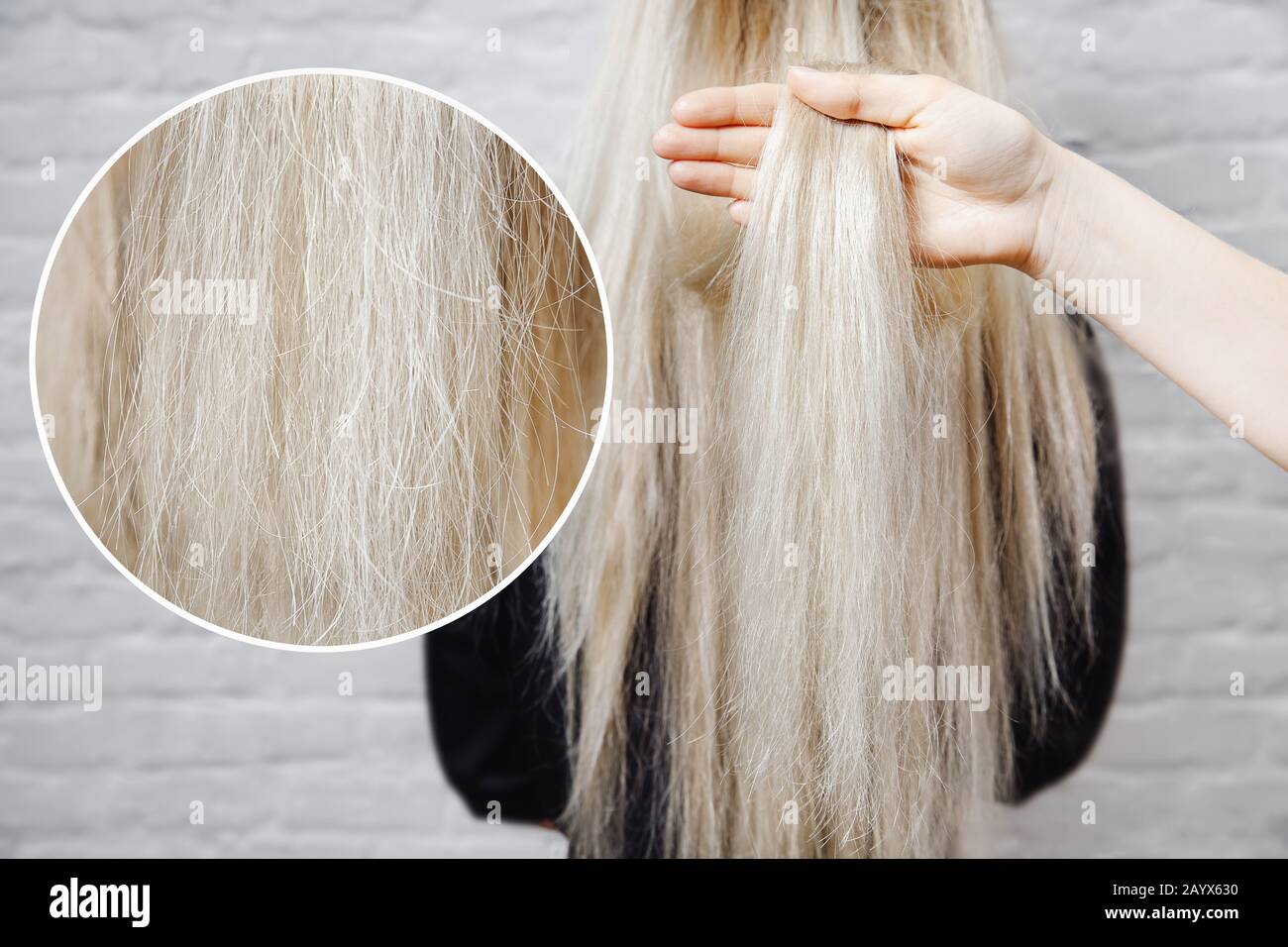 Texture of damaged female hair close-up on gray background. concept ...